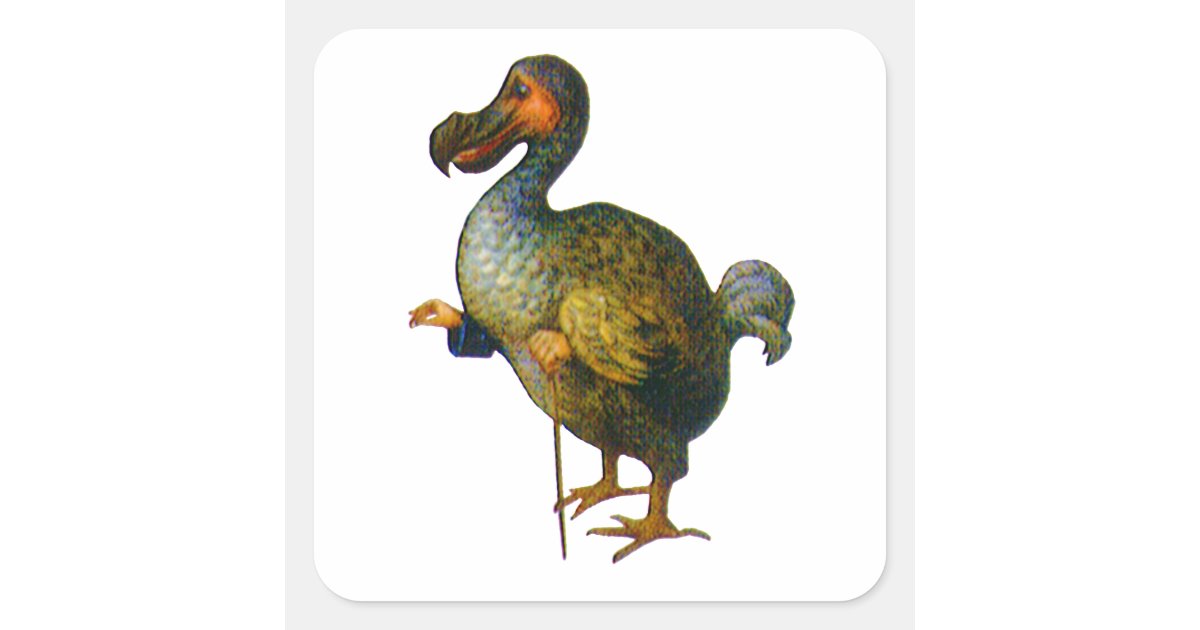 The Dodo Bird Square Sticker | Zazzle