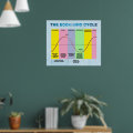 The Economic Cycle Poster | Zazzle