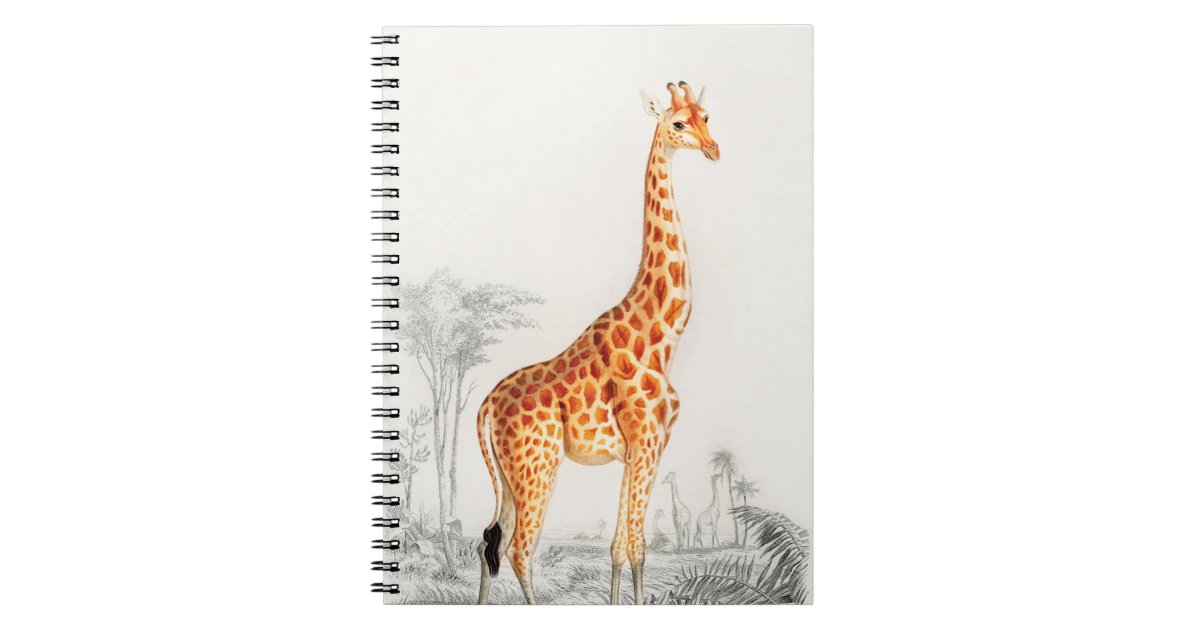 The Elegant Giraffe Notebook | Zazzle