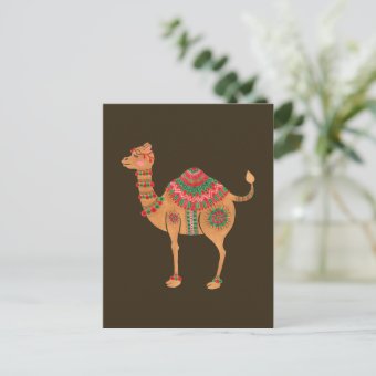 The Ethnic Camel Postcard | Zazzle
