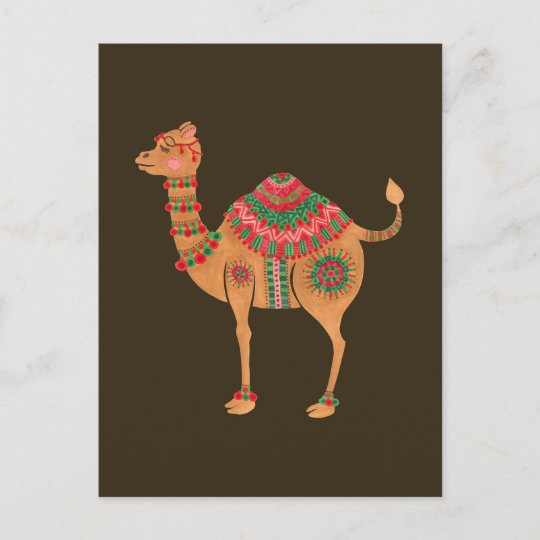 The Ethnic Camel Postcard | Zazzle.com