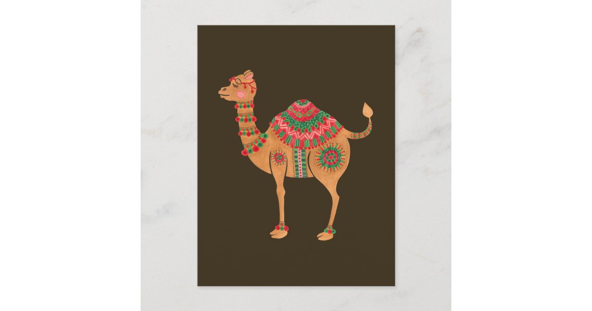 The Ethnic Camel Postcard | Zazzle