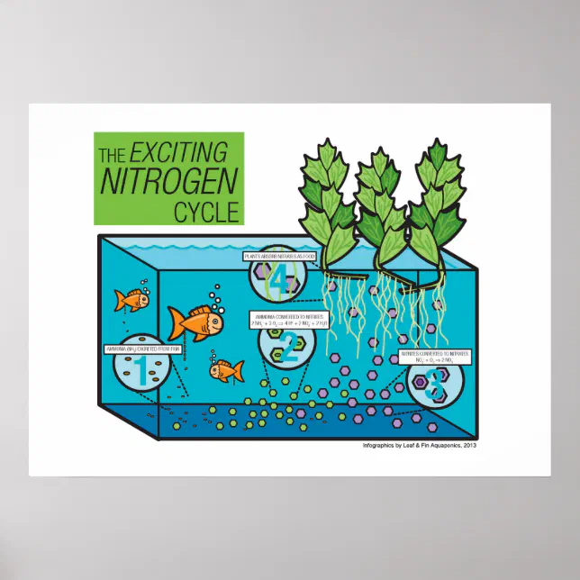 The Exciting Nitrogen Cycle Poster | Zazzle