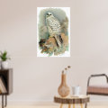 The Falcon Poster | Zazzle