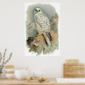 The Falcon Poster | Zazzle