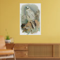 The Falcon Poster | Zazzle