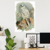 The Falcon Poster | Zazzle