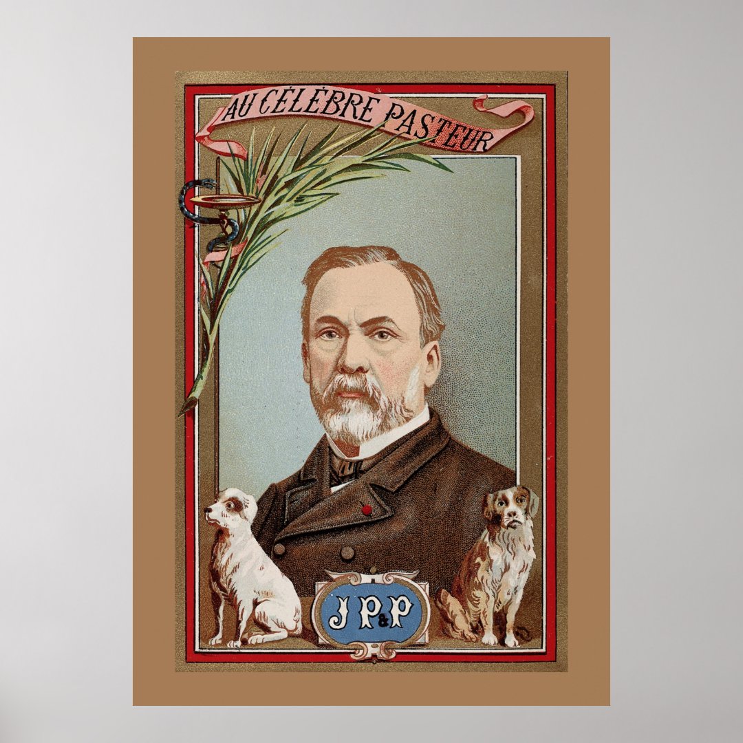 The Famous Louis Pasteur Portrait Historic Poster | Zazzle