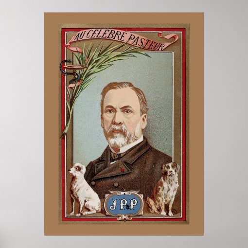 The Famous Louis Pasteur Portrait Historic Poster | Zazzle