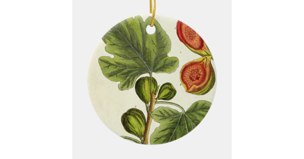 The Fig Tree, plate 125 from 'A Curious Herbal', p Ceramic Ornament ...