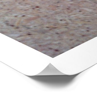 The first spring driven clock with fusee, view of poster | Zazzle