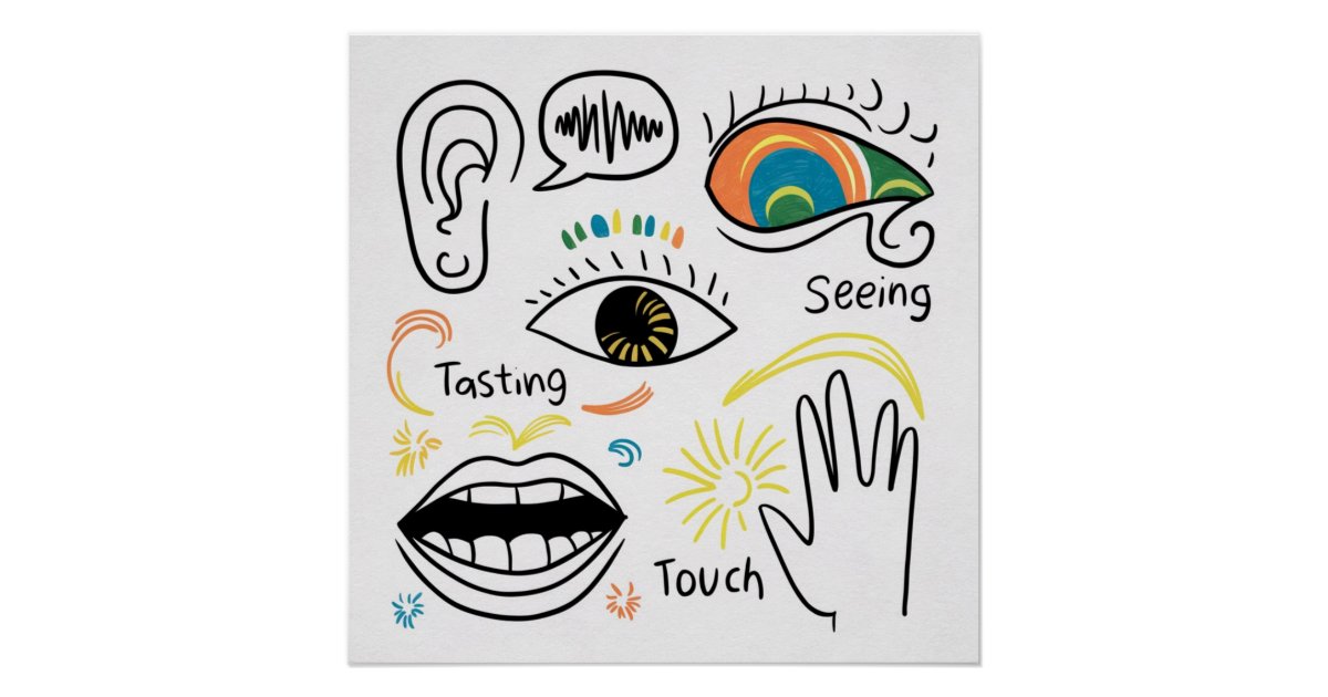 The Five Senses Poster | Zazzle