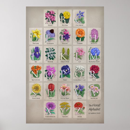 The Floral Alphabet Poster | Zazzle.com