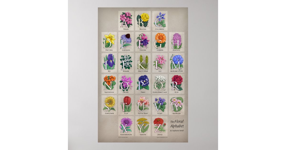 The Floral Alphabet Poster | Zazzle