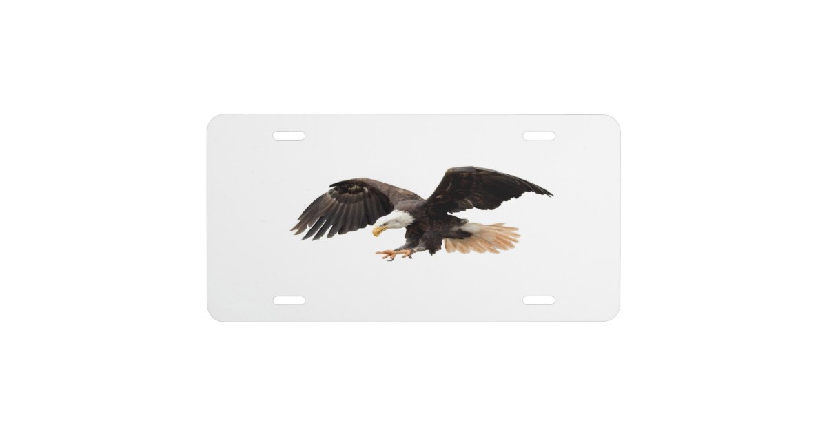The flying Eagle License Plate | Zazzle