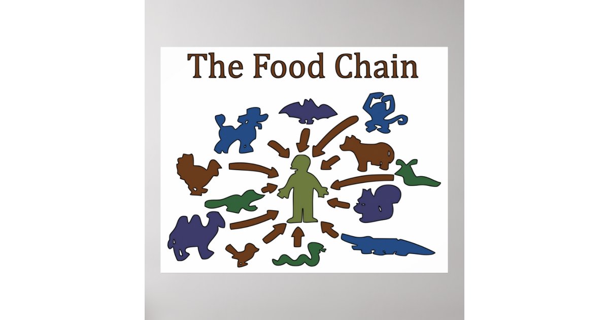 The Food Chain Poster | Zazzle