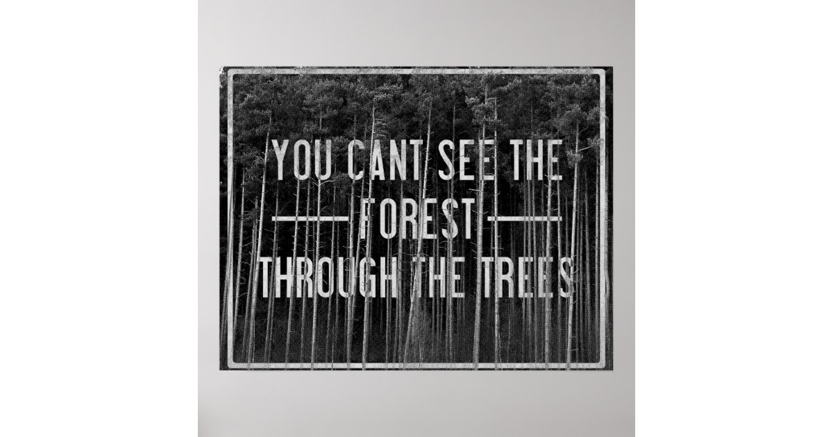 The Forest Poster | Zazzle
