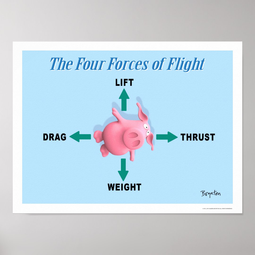 THE FOUR FORCES OF FLIGHT by Sandra Boynton Poster | Zazzle
