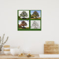 The Four Seasons Poster | Zazzle