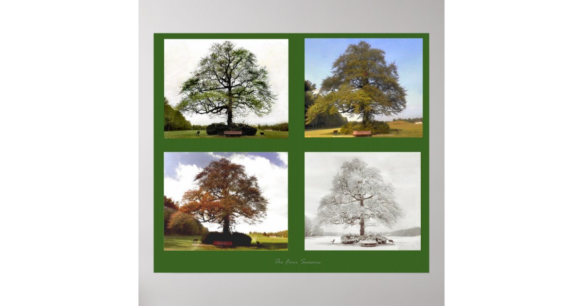 The Four Seasons Poster | Zazzle