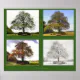 The Four Seasons Poster | Zazzle