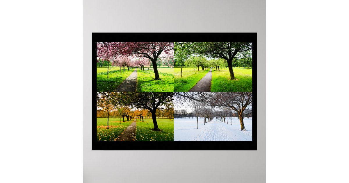 The Four Seasons Poster | Zazzle