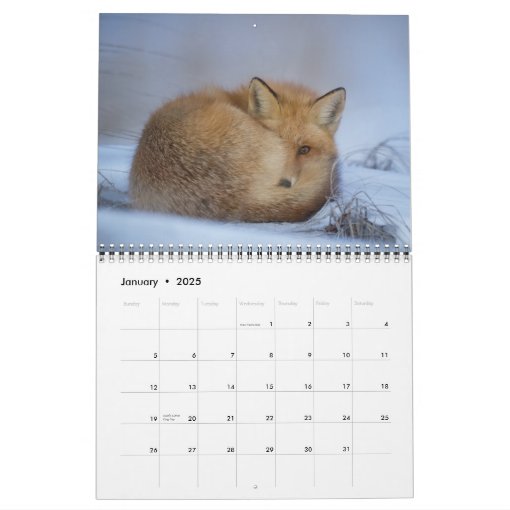 The Fox Lover's Calendar | Zazzle