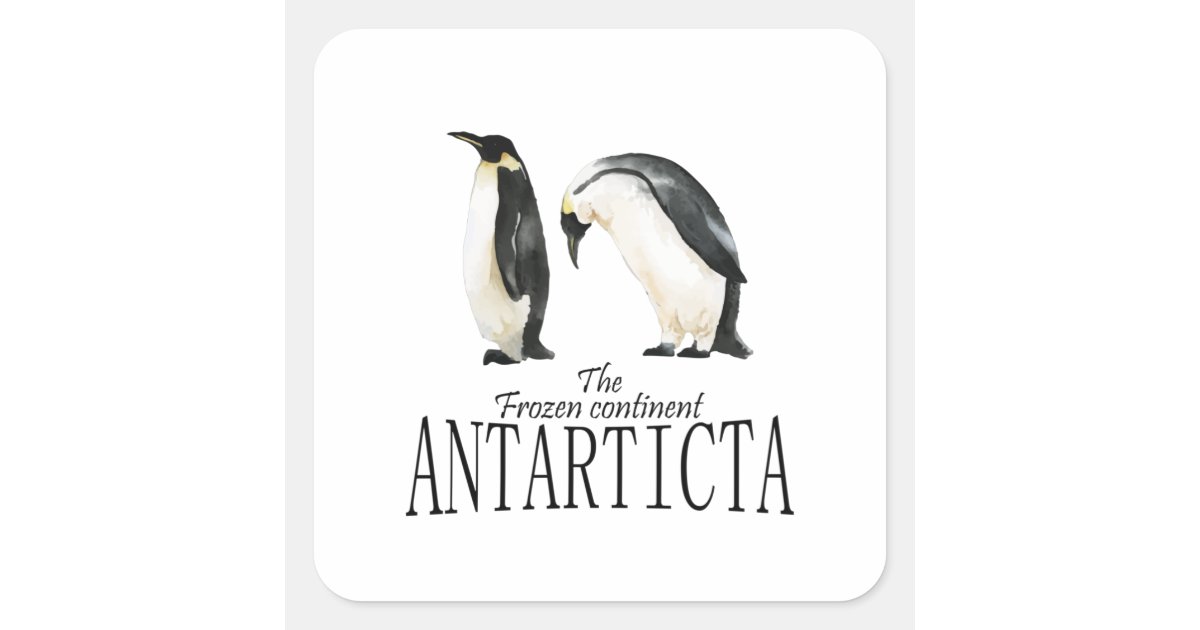 The Frozen Continent Antarctica Square Sticker | Zazzle
