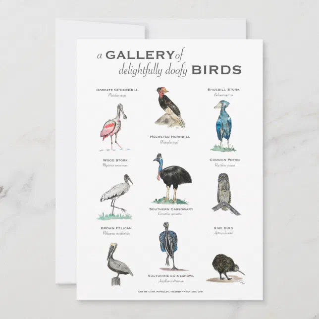 The Gallery of Delightfully Doofy Birds 5x7 Card | Zazzle