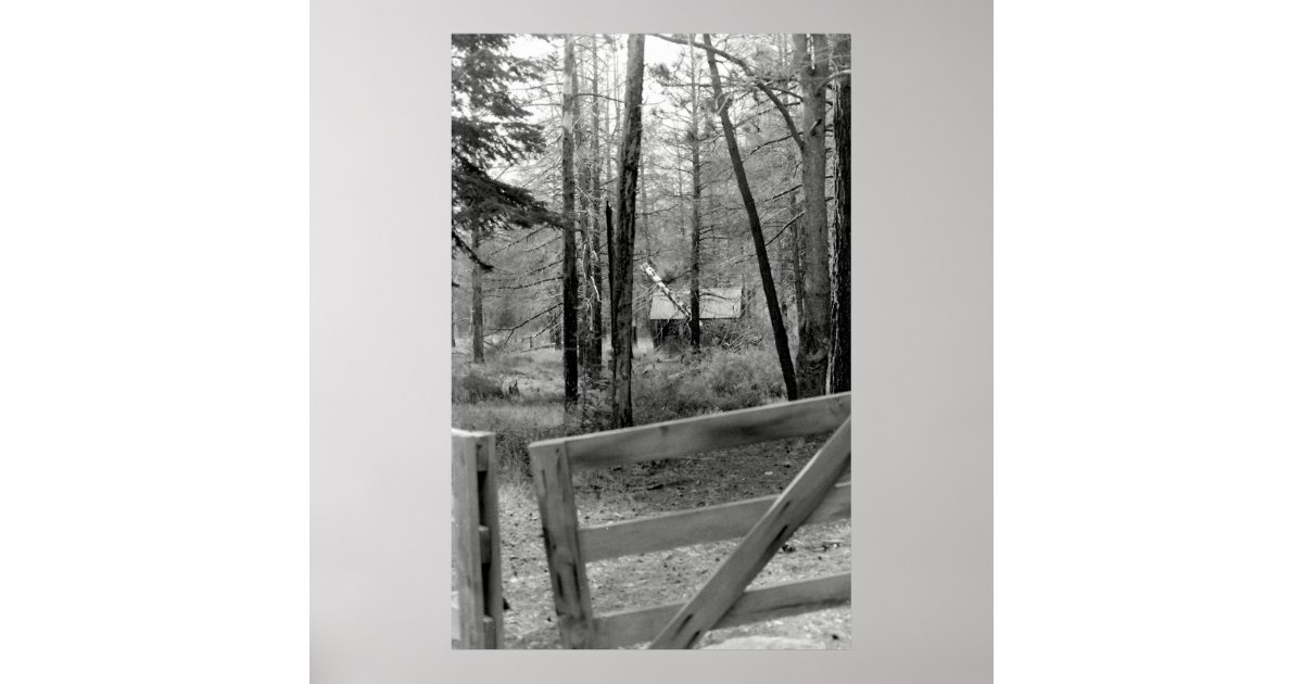 The Gate Poster | Zazzle