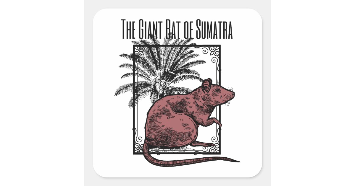 The Giant Rat of Sumatra Holmesian Sherlock Holmes Square Sticker | Zazzle