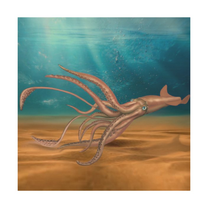 THE GIANT SQUID WOOD WALL ART | Zazzle.com