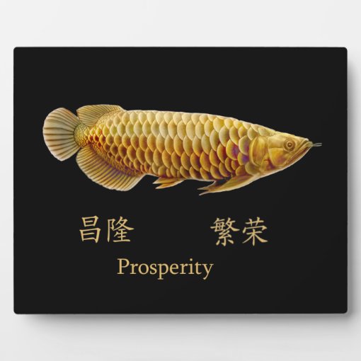 The Golden Arowana Fish Prosperity Plaque | Zazzle