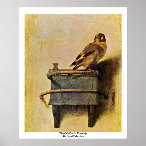 The Goldfinch., Puttertje By Carel Fabritius Poster | Zazzle