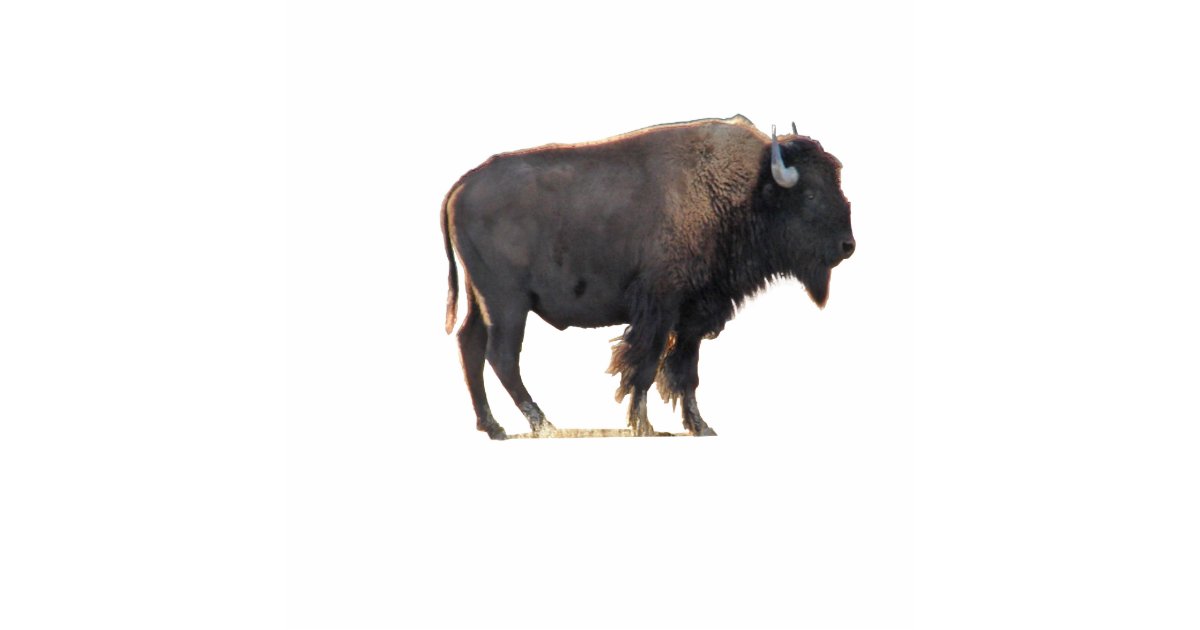 The Great American Bison Cutout | Zazzle