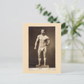 The Great Sandow Postcard | Zazzle