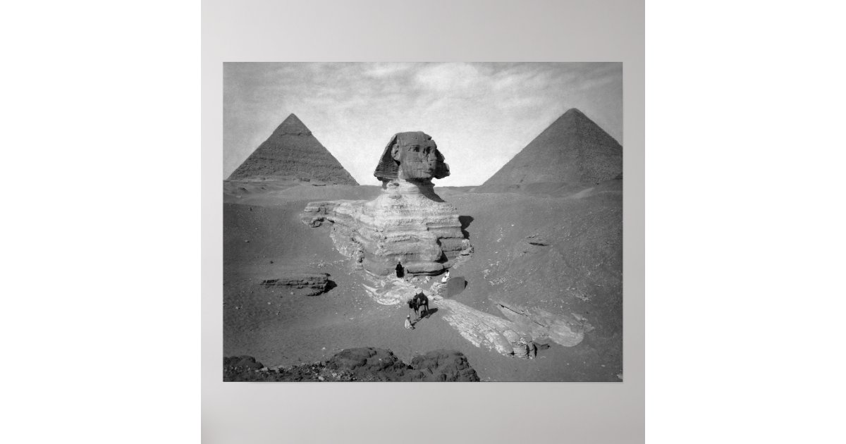 The Great Sphinx & Pyramids, 1878. Vintage Photo Poster | Zazzle