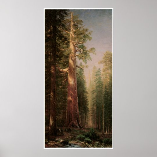 The Great Trees Poster | Zazzle.com