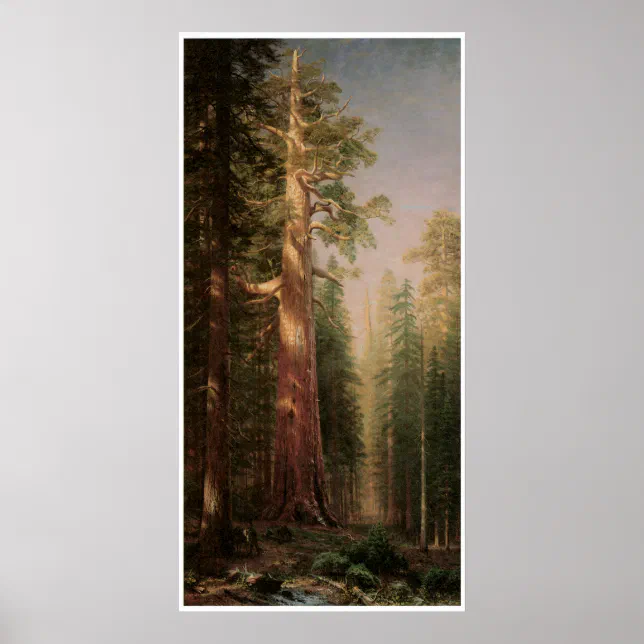 The Great Trees Poster | Zazzle