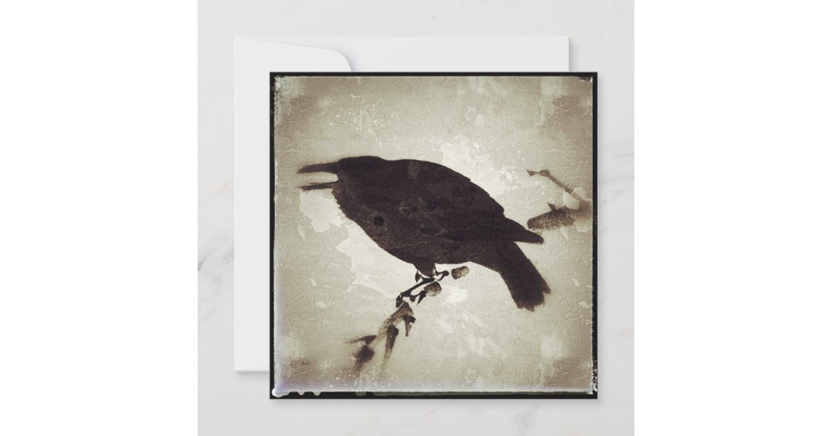 The Grunge Crow | Zazzle