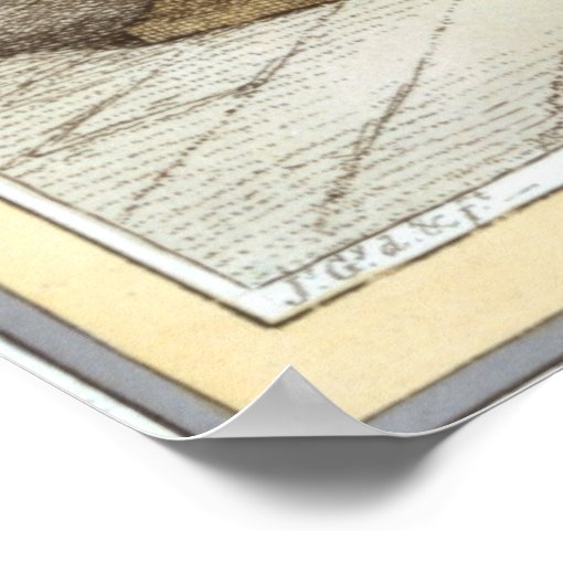 The Guillotine Poster | Zazzle