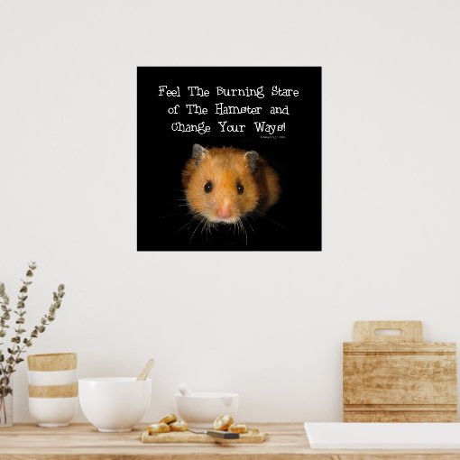 The Hamster Poster | Zazzle