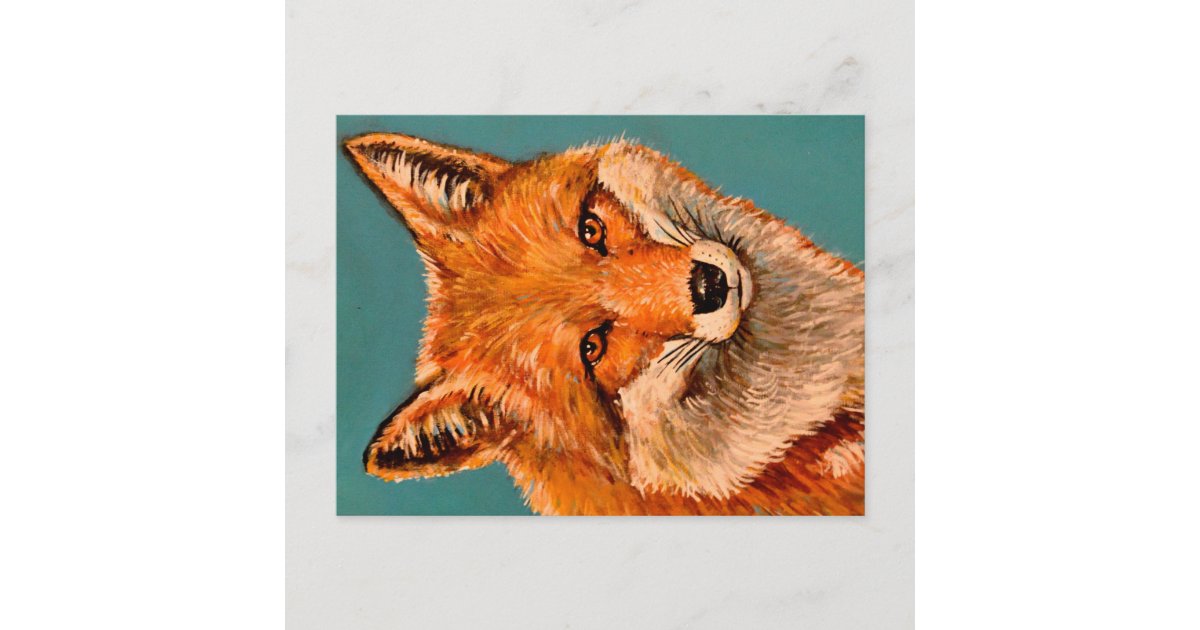 The handsome fox. postcard | Zazzle