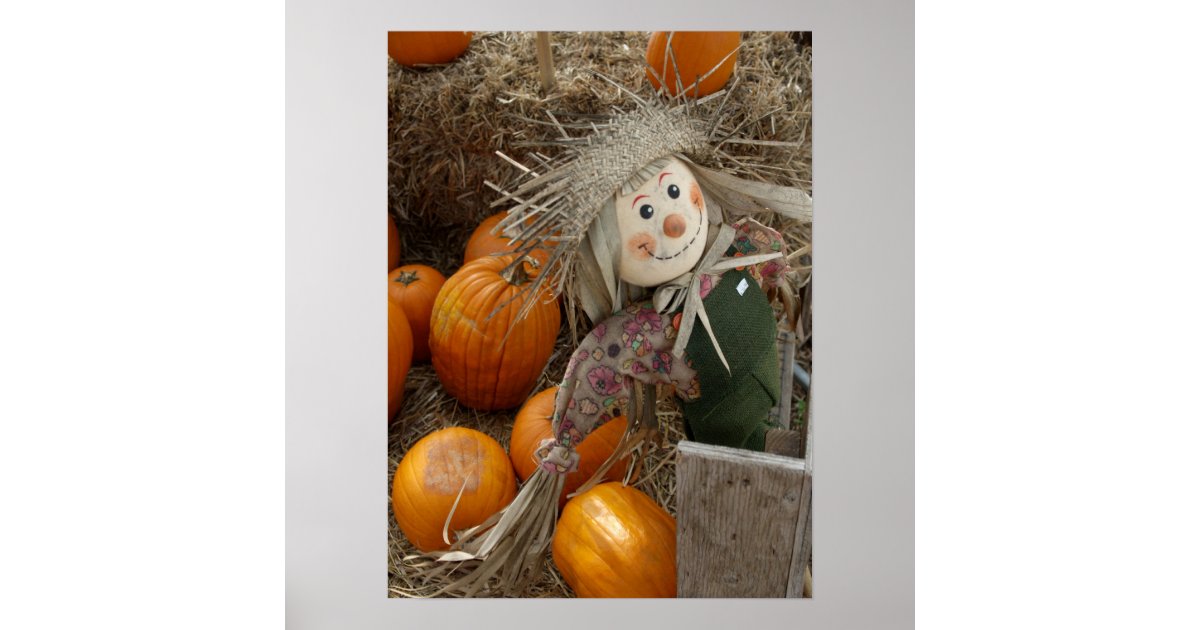 The Happy Scarecrow Poster | Zazzle