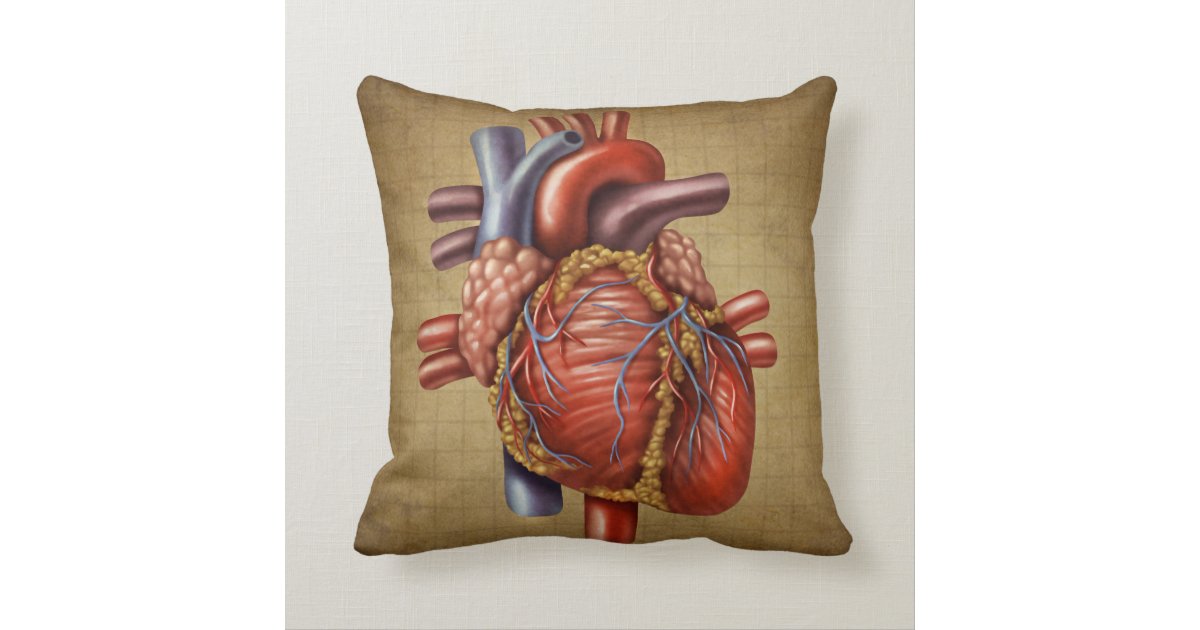 The Human Heart Pillow | Zazzle.com