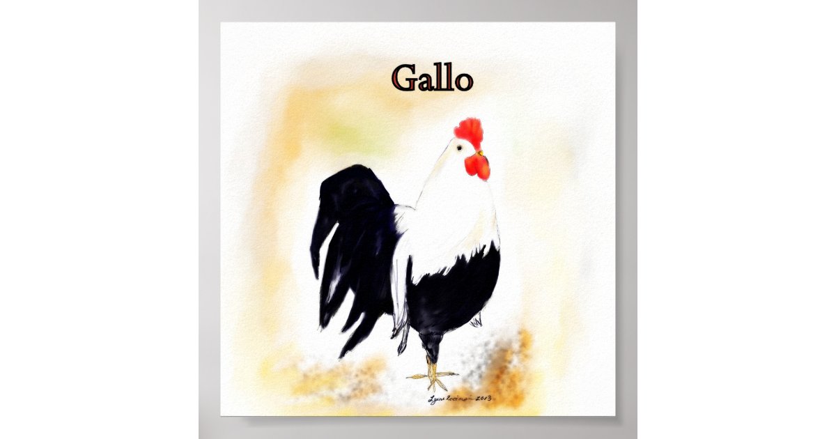 The Italian Rooster Gallo Poster | Zazzle