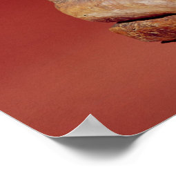 The Key Marco Cat, from Florida Poster | Zazzle