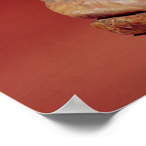 The Key Marco Cat, from Florida Poster | Zazzle