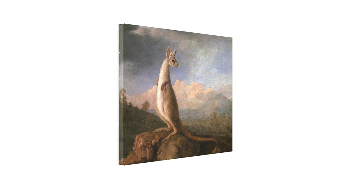 The Kongouro From New Holland by George Stubbs Canvas Print | Zazzle