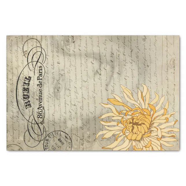 The Lady Decoupage Tissue Paper | Zazzle